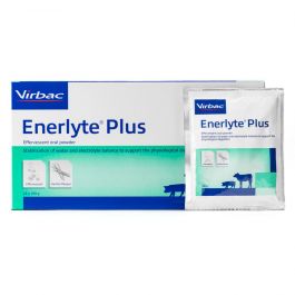 Enerlyte plus 1 x 100 gram
